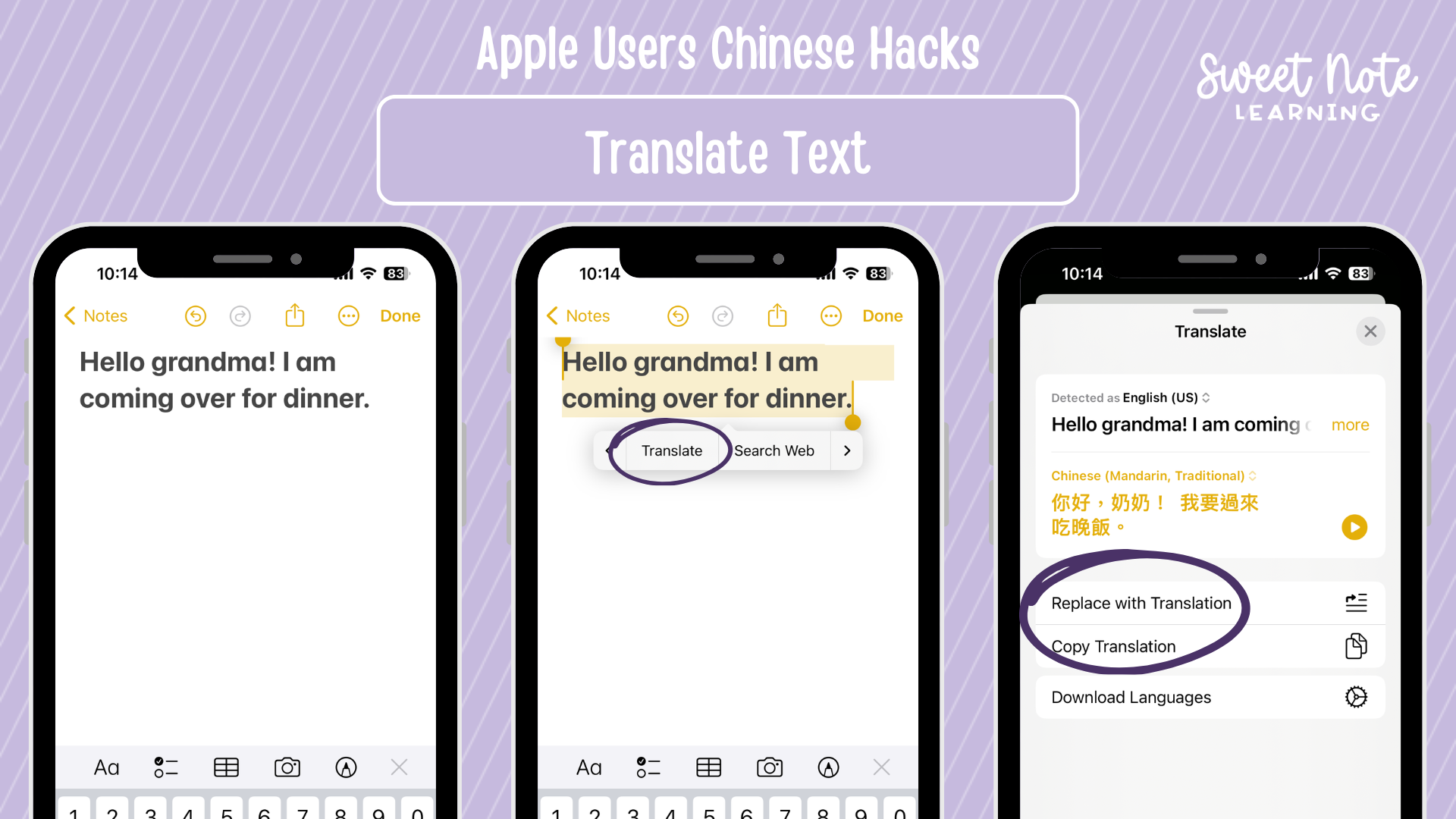 Sweet Note Learning » iPhone Hacks for Chinese Learners